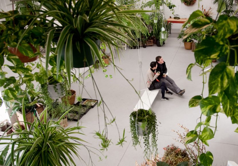 走進 Wona Bae 的花卉實驗室：墨爾本 Loose Leaf - POLYSH