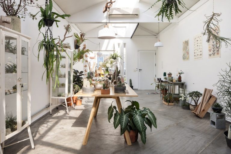 將世間的珍奇顏料都蒐藏盡！哈佛大學博物館收藏的 The Forbes Pigment Collection - POLYSH