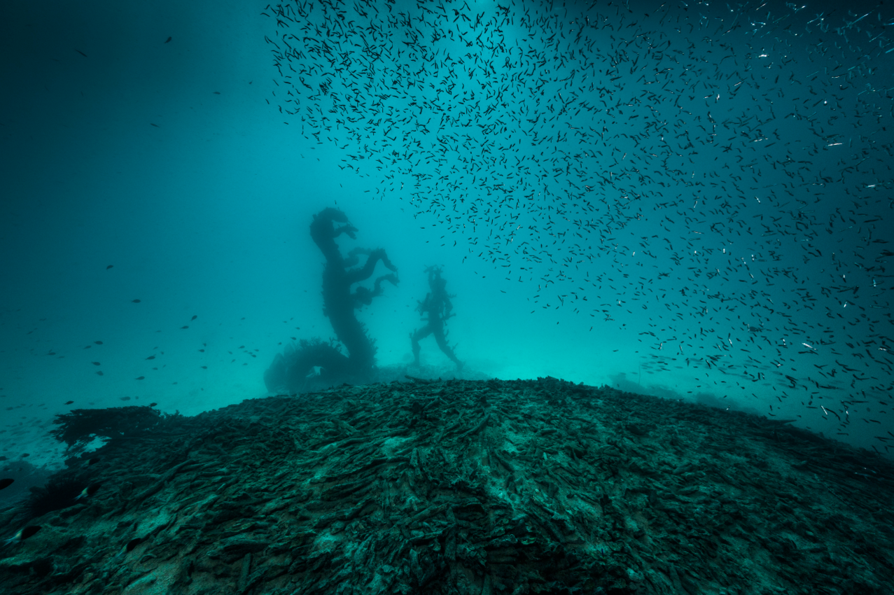 令人難以置信的深海寶藏：英國藝術家 Damien Hirst 耗費十年編織的海底傳奇 - POLYSH