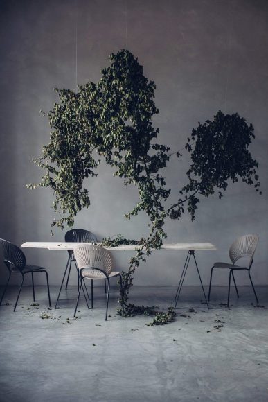 以英國文學《秘密花園》主角之名，她用花朵獻給柏林狂野與浪漫：花藝師 Ruby Barber - POLYSH